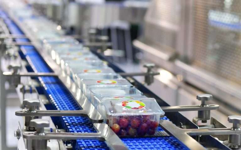 Sistemas de producción ¿Qué son? ¿Cuáles son sus tipos?