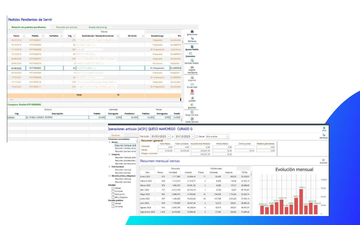 Reseña de Ellipse ERP: ¿Cual es mi opinion?